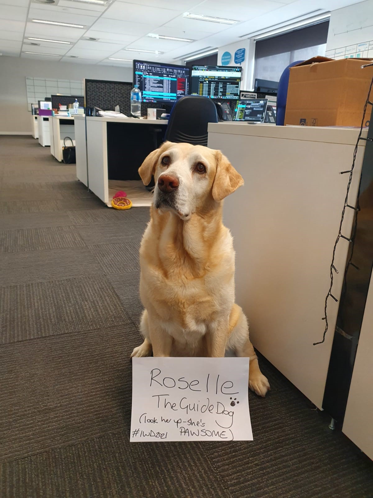 International Women’s Day 2021 – Clicks Chooses to Challenge | Clicks ...