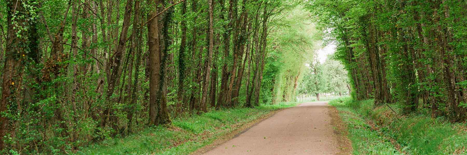 Getting Back To Nature | Clicks IT Recruitment